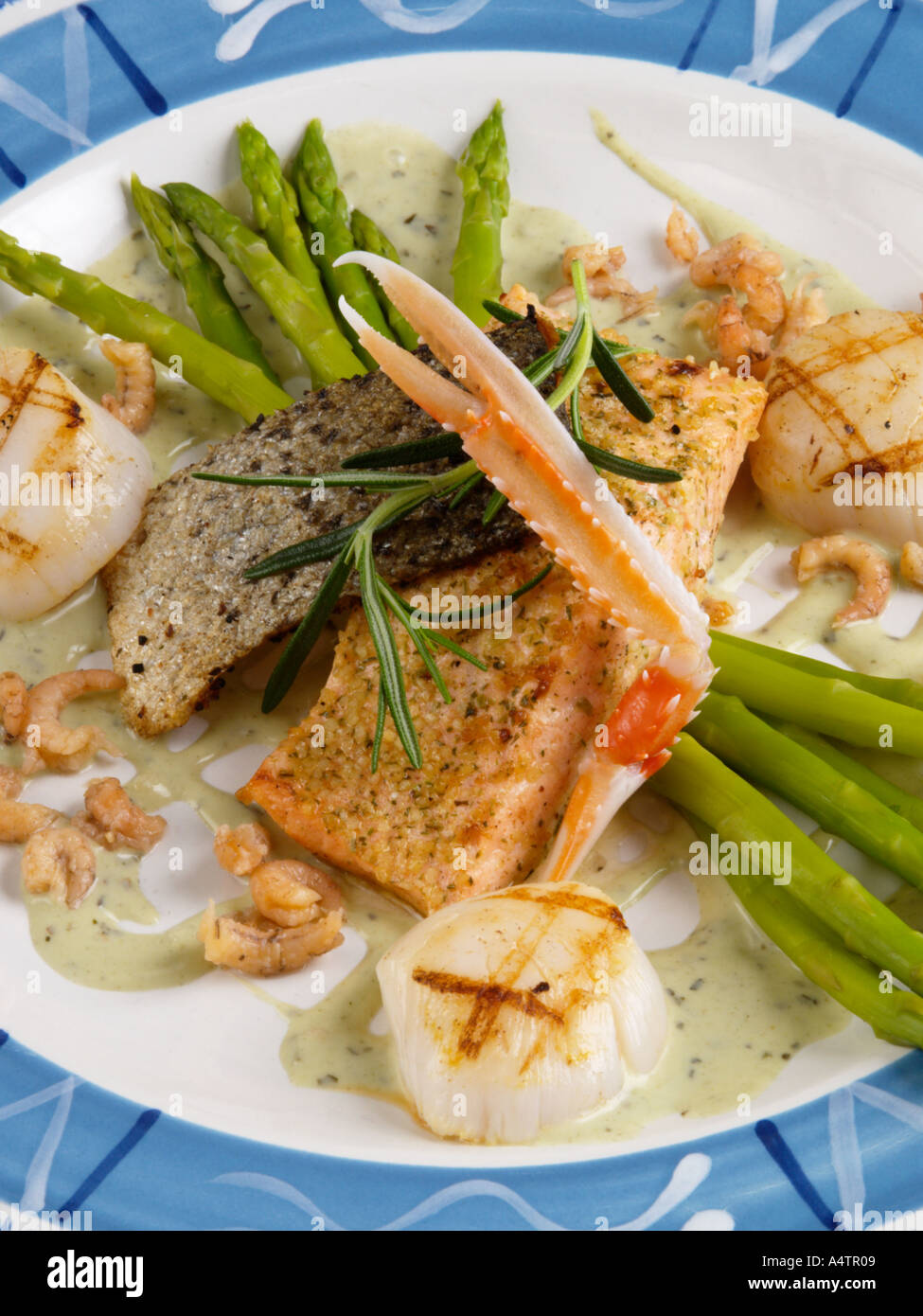 Fisch verschiedene fische -Fotos und -Bildmaterial in hoher Auflösung – Alamy