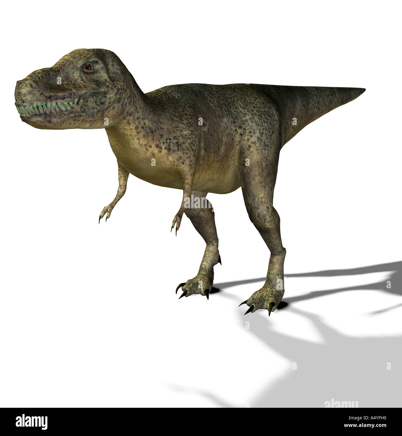 Der Tyrannosaurus Rex hat seinen Namen von König der Tyrannenechsen, in ...