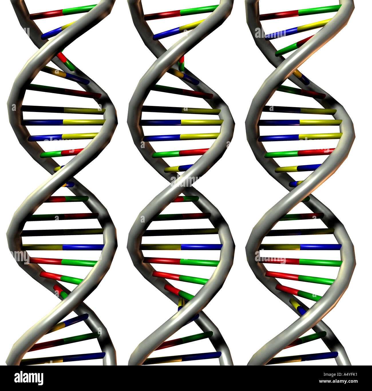 Doppelhelix der Desoxyribonukleinsäure (DNA Stockfotografie - Alamy