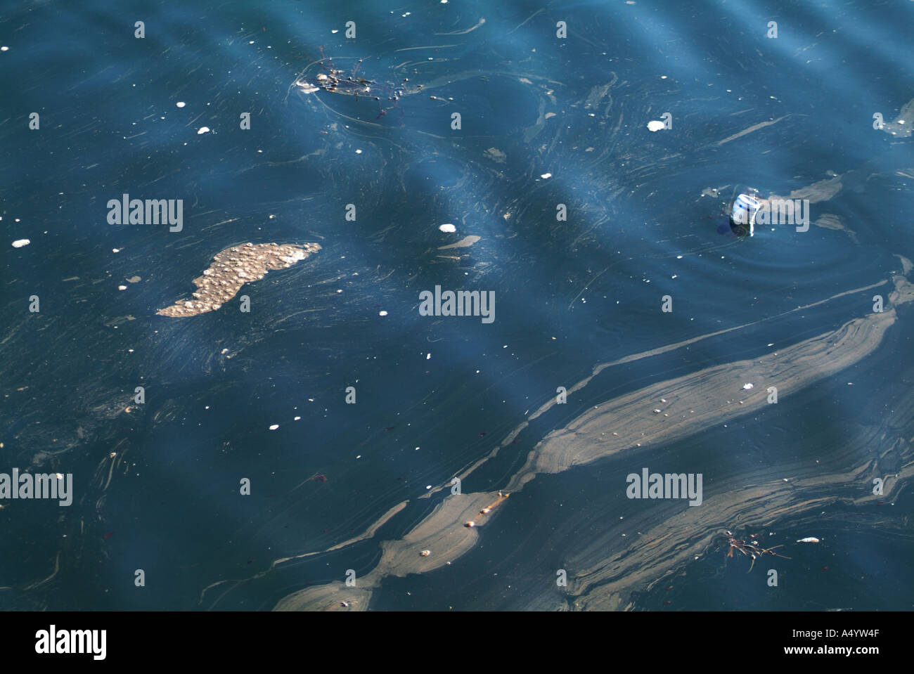 Müll und verschmutzung auf dem meer -Fotos und -Bildmaterial in hoher ...