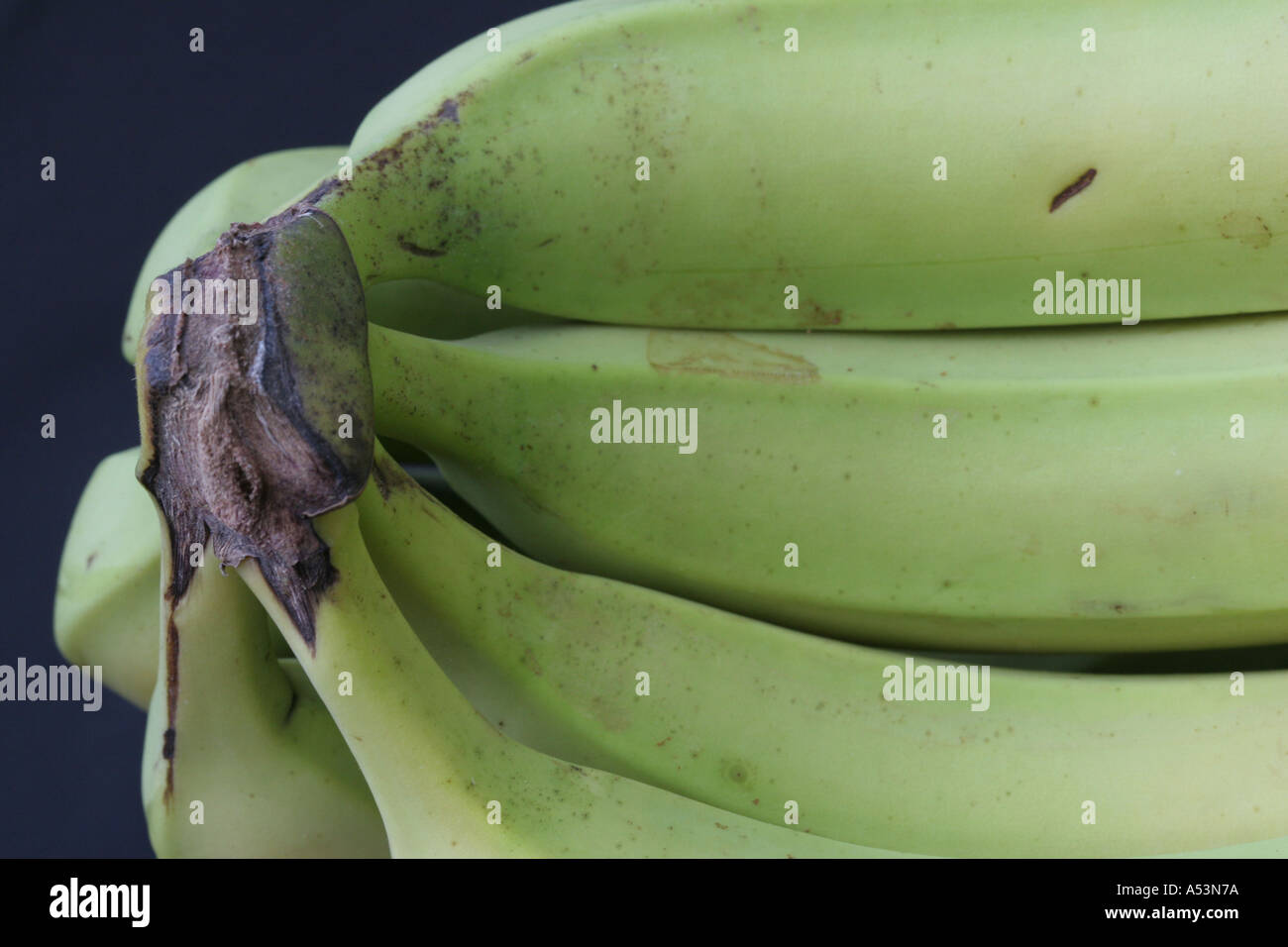 Straight banana -Fotos und -Bildmaterial in hoher Auflösung – Alamy