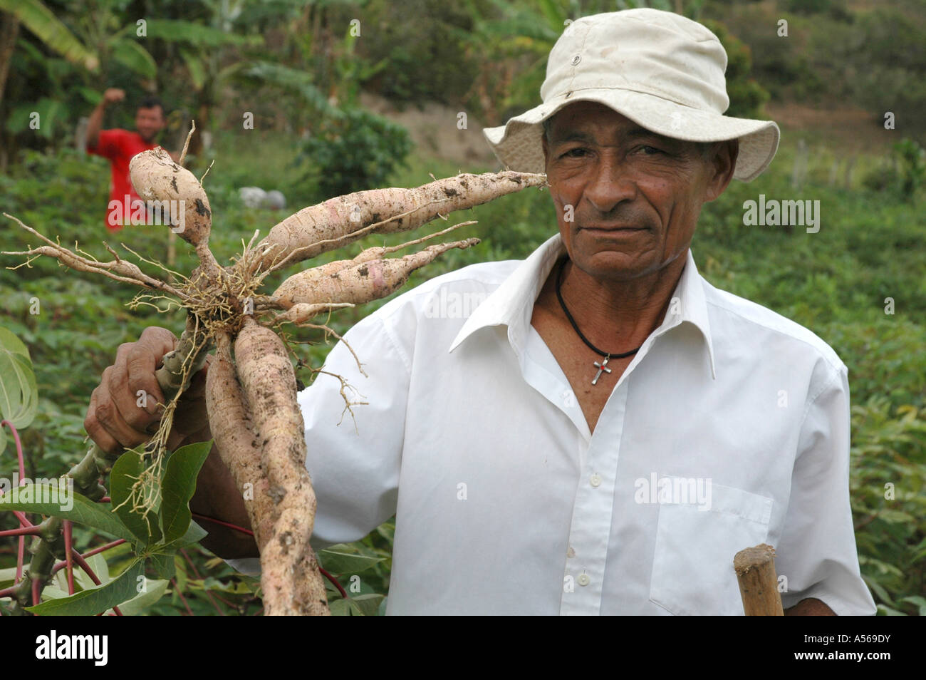 Zucht von sklaven -Fotos und -Bildmaterial in hoher Auflösung – Alamy
