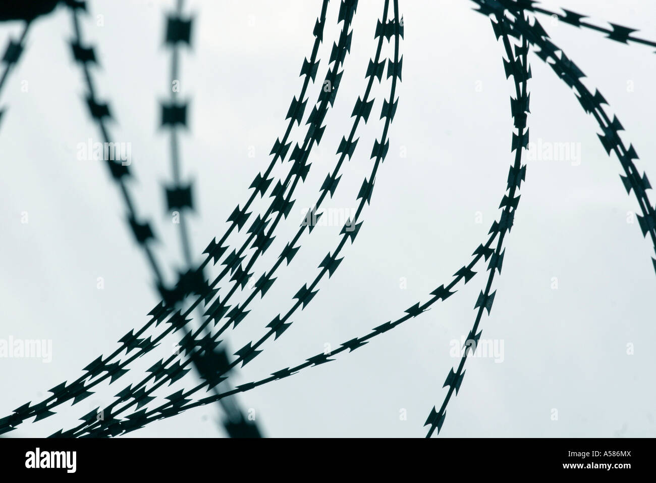 Nato stacheldraht -Fotos und -Bildmaterial in hoher Auflösung – Alamy