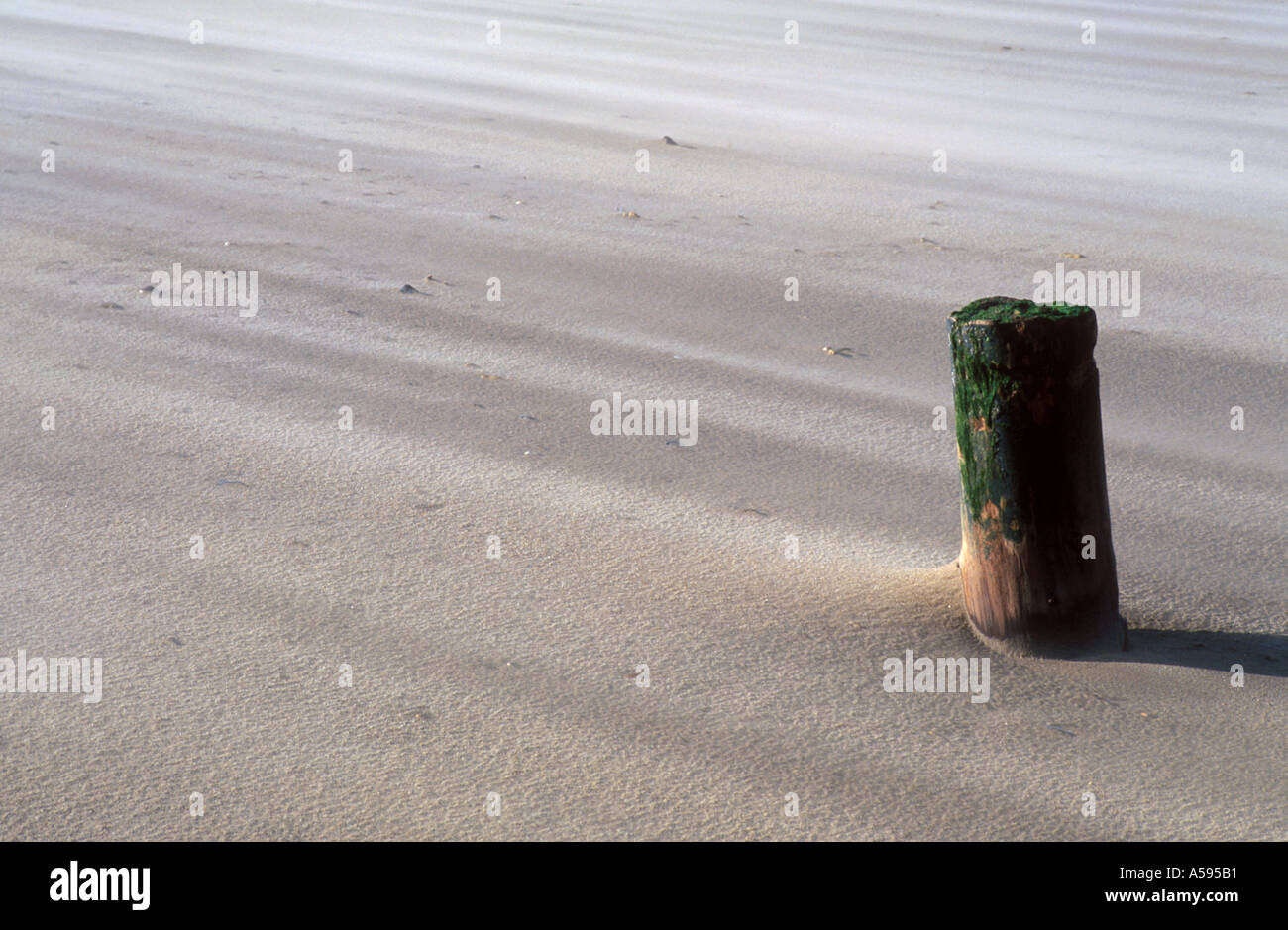Holme sand -Fotos und -Bildmaterial in hoher Auflösung – Alamy