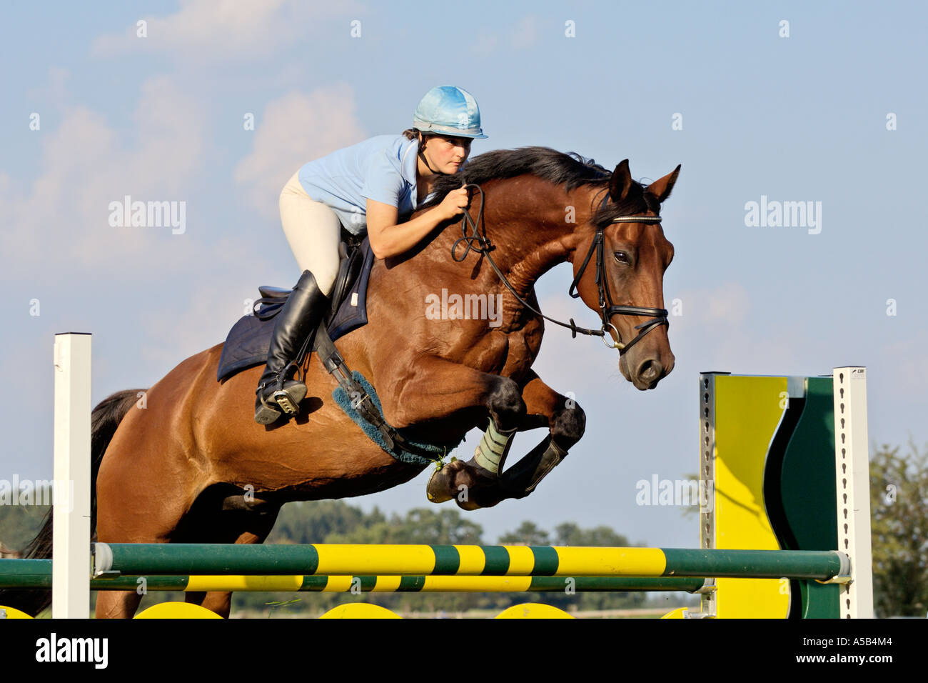 Horse Rider Jumping Over Obstacle Stockfotos und -bilder Kaufen - Alamy