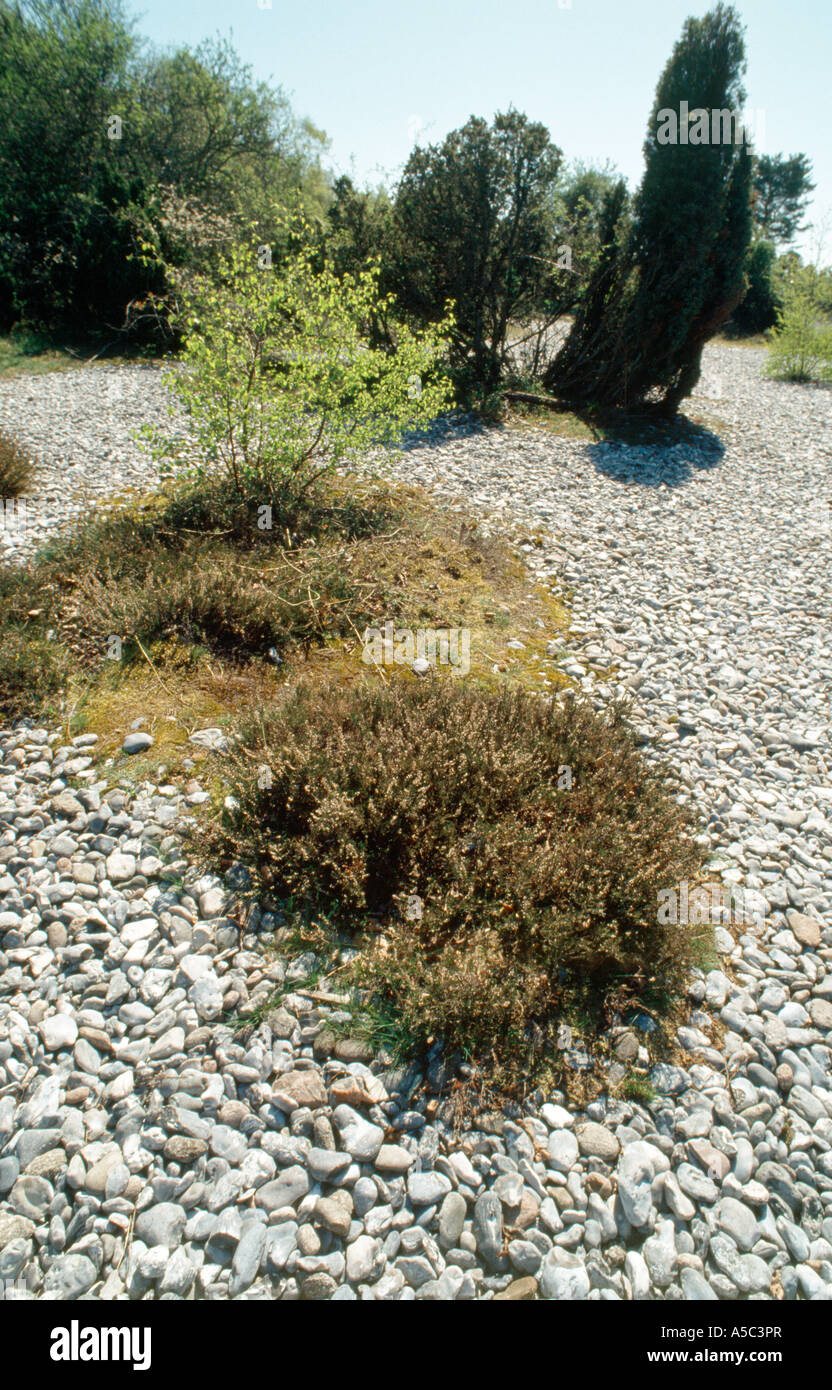 Mukran neu mukran -Fotos und -Bildmaterial in hoher Auflösung – Alamy