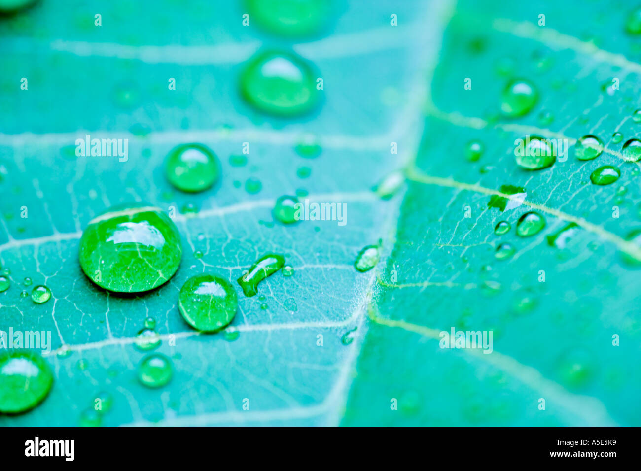 Wassertropfen horizontal -Fotos und -Bildmaterial in hoher Auflösung ...
