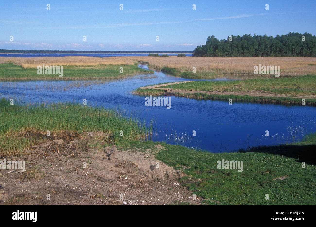 Engure see -Fotos und -Bildmaterial in hoher Auflösung – Alamy