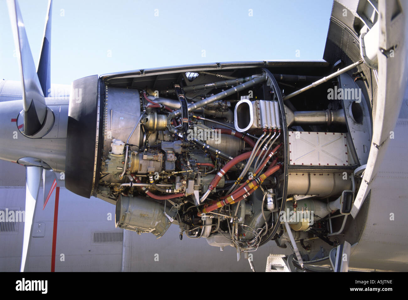 Breguet Atlantic 1150 Rolls-Royce RTY.20 Mk.21 Tyne Turboprop-Triebwerk ...