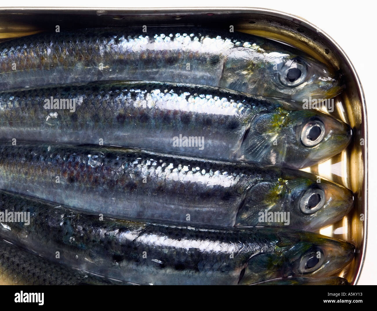 Gepackt verpackt -Fotos und -Bildmaterial in hoher Auflösung – Alamy
