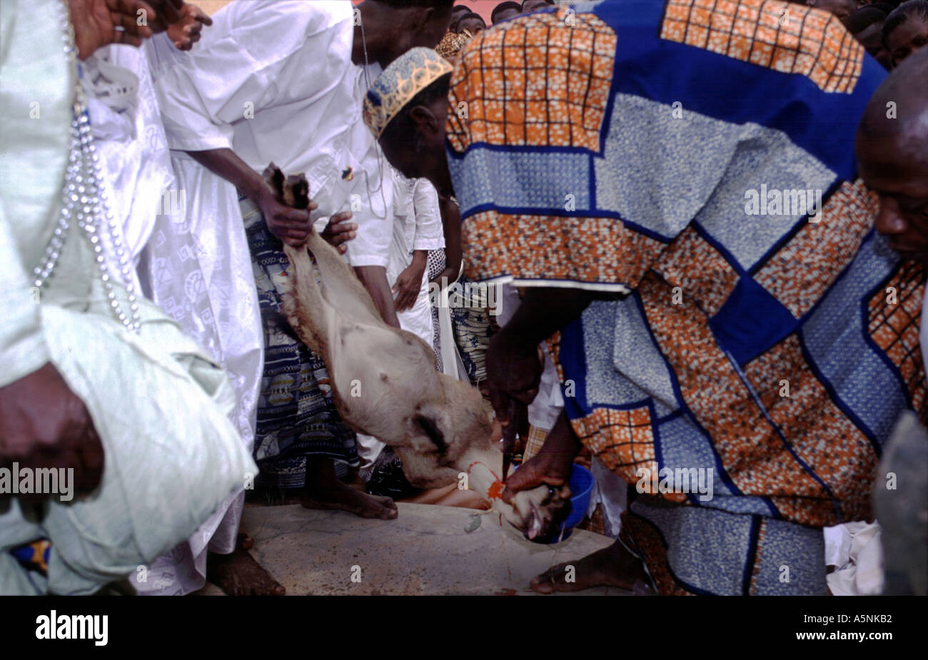 Voodoo Ceremony Africa Stockfotos & Voodoo Ceremony Africa Bilder ...