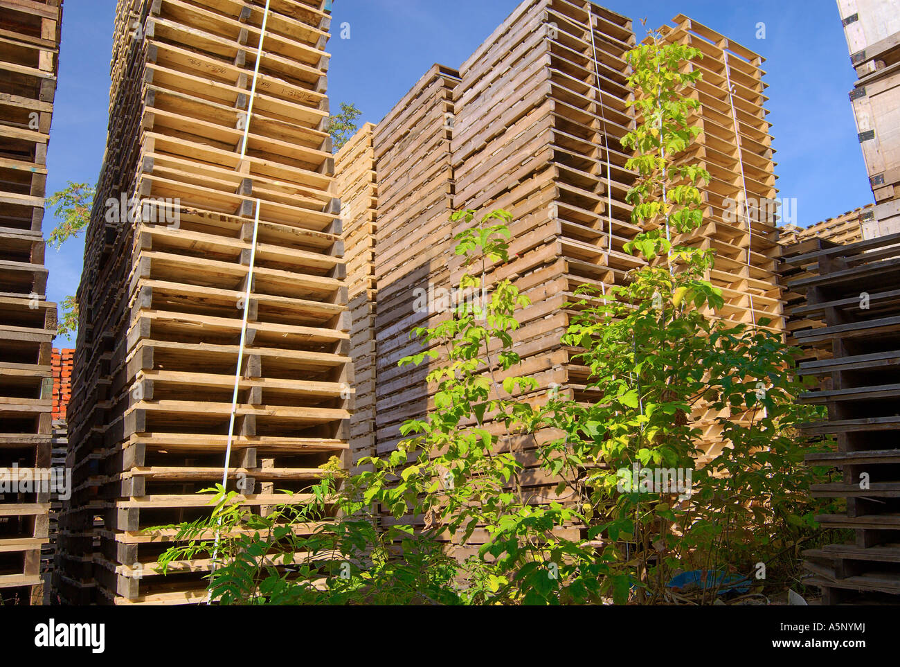 Gestapelte transportpaletten -Fotos und -Bildmaterial in hoher Auflösung – Alamy