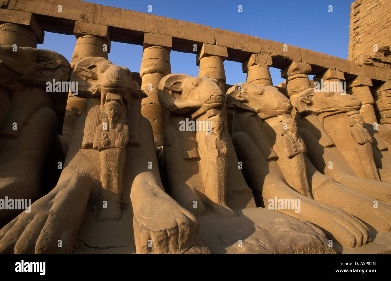 Theben und sphinx -Fotos und -Bildmaterial in hoher Auflösung – Alamy