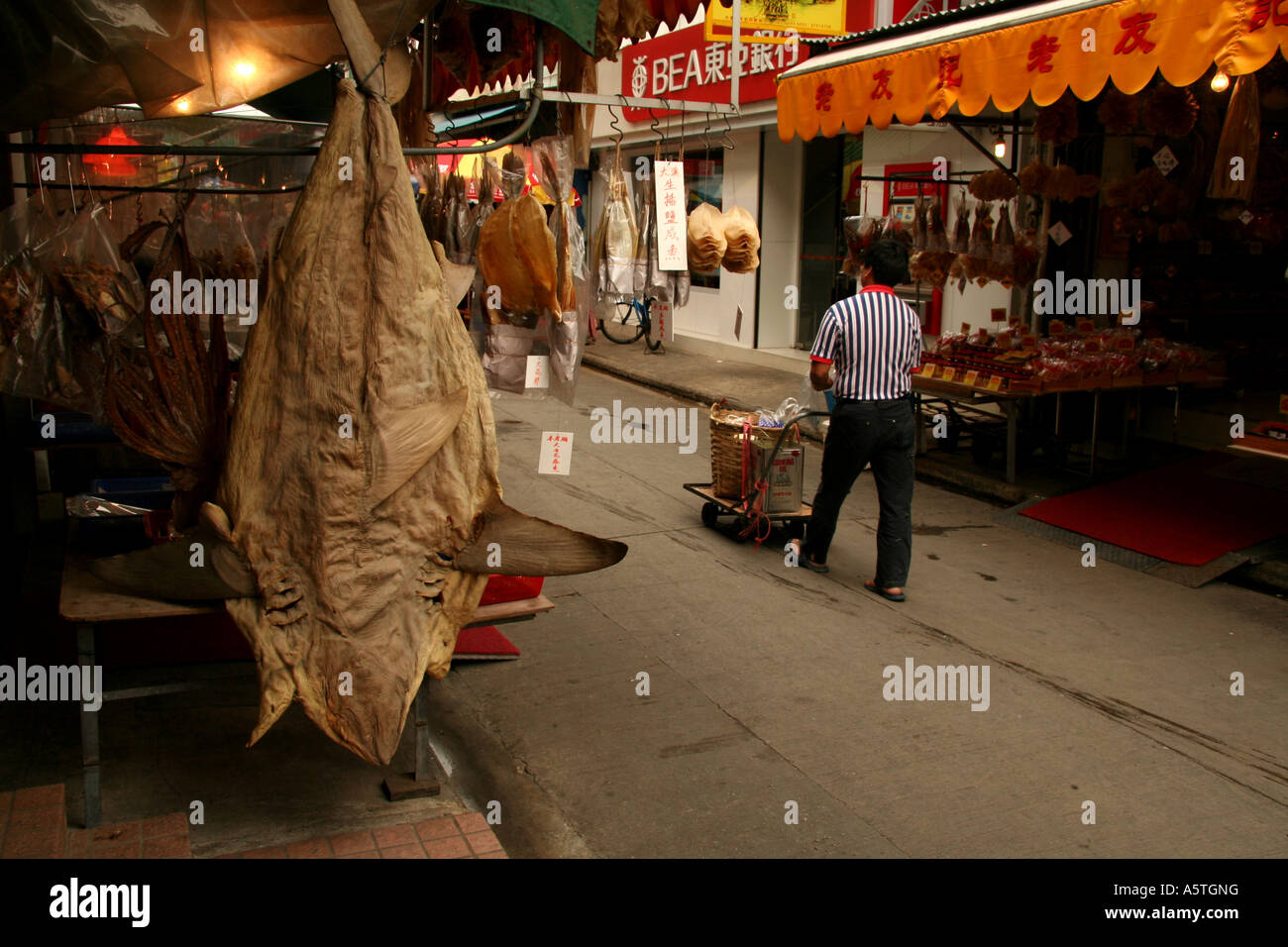 Fauler hai -Fotos und -Bildmaterial in hoher Auflösung – Alamy