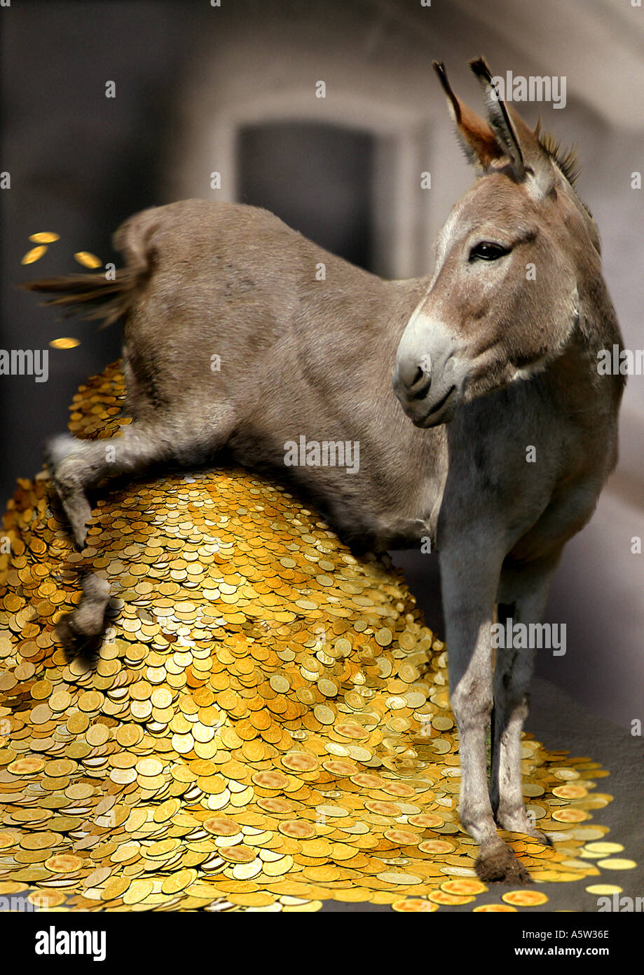 Der goldesel -Fotos und -Bildmaterial in hoher Auflösung – Alamy