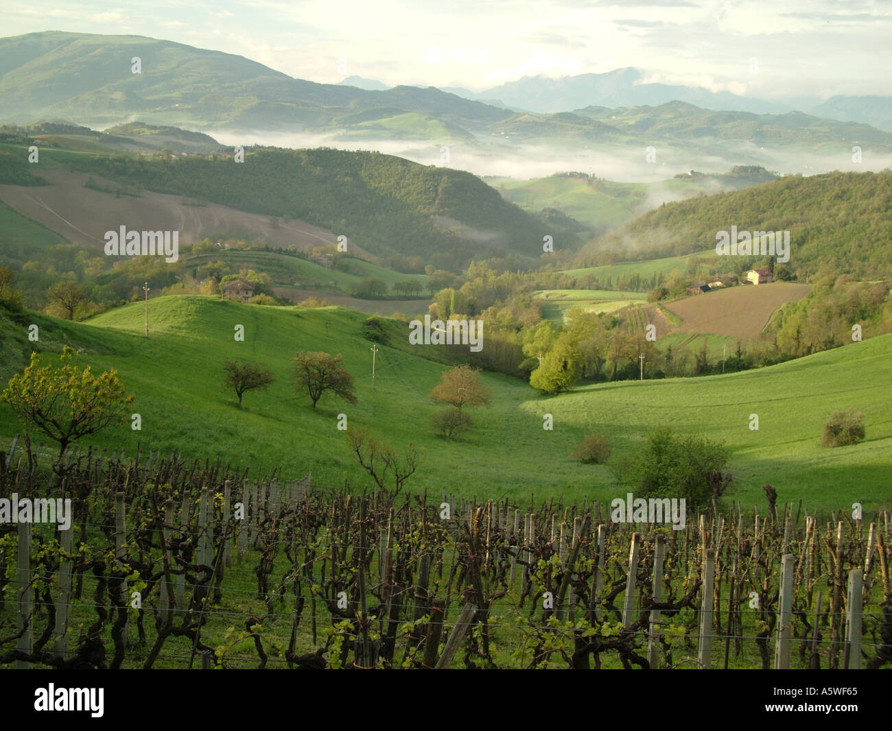Etale de marche -Fotos und -Bildmaterial in hoher Auflösung – Alamy