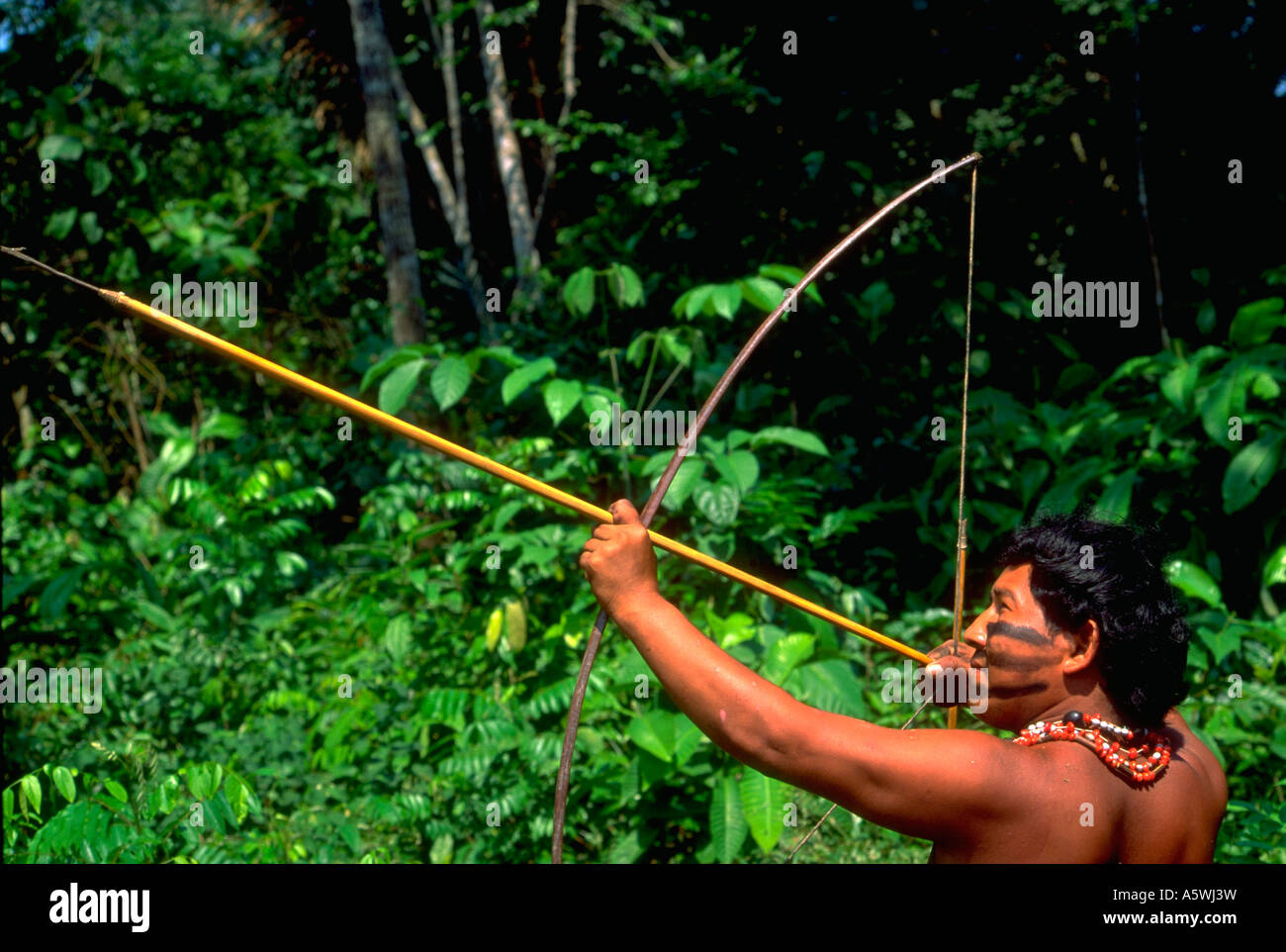 Amazon Bow Arrow Stockfotos und -bilder Kaufen - Alamy