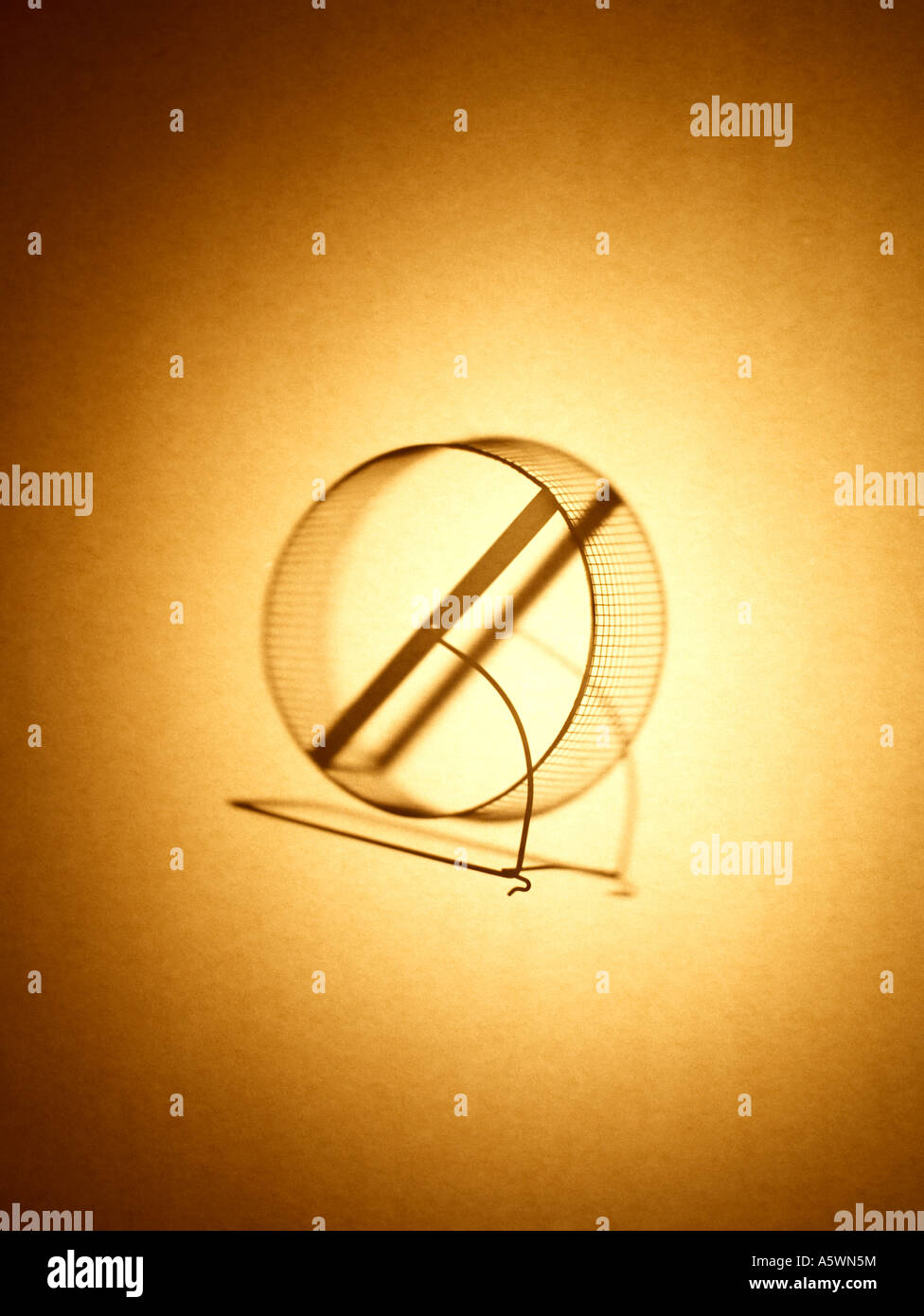 Hamster wheel silhouette -Fotos und -Bildmaterial in hoher Auflösung ...