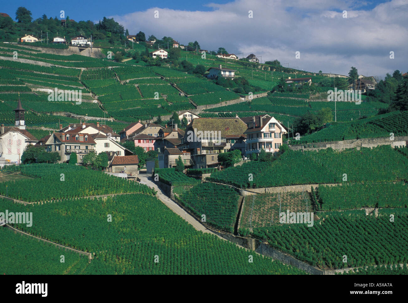 Die hügel schweiz -Fotos und -Bildmaterial in hoher Auflösung – Alamy