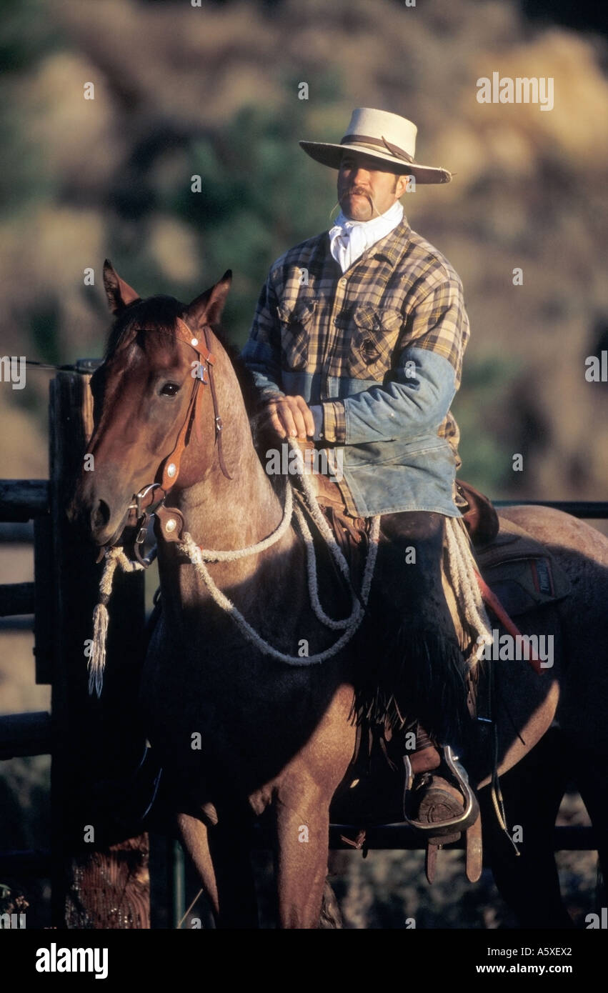 Reiter ruhen sich aus -Fotos und -Bildmaterial in hoher Auflösung – Alamy