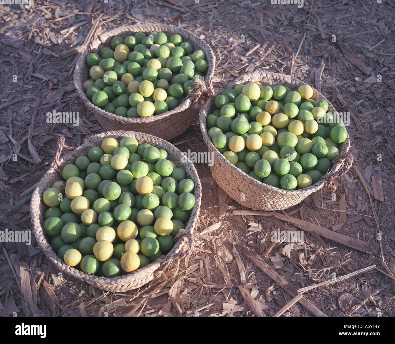 Stadt kasala -Fotos und -Bildmaterial in hoher Auflösung – Alamy