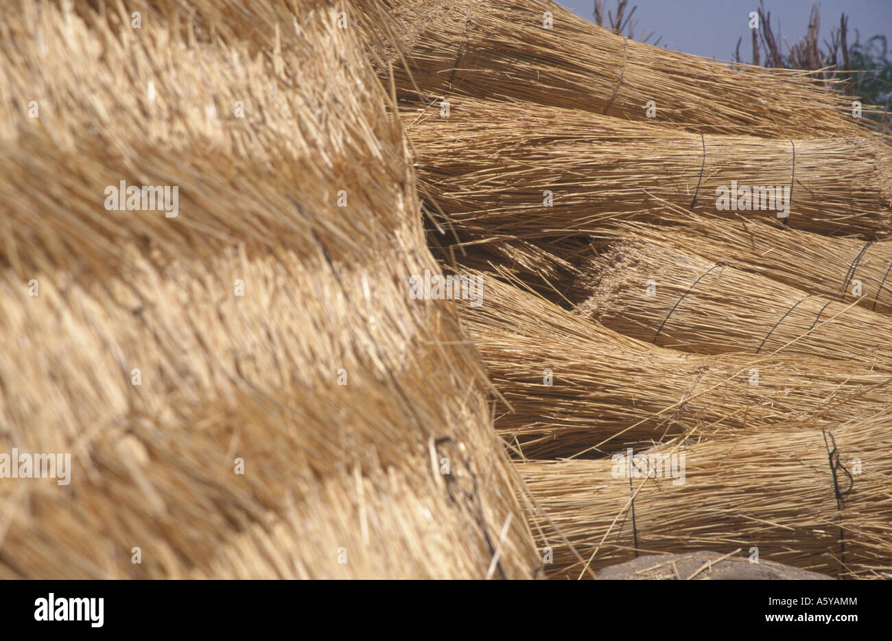 Stadt kasala -Fotos und -Bildmaterial in hoher Auflösung – Alamy