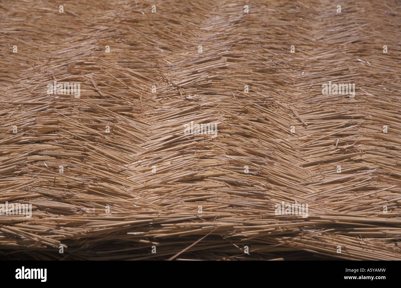 Stadt kasala -Fotos und -Bildmaterial in hoher Auflösung – Alamy