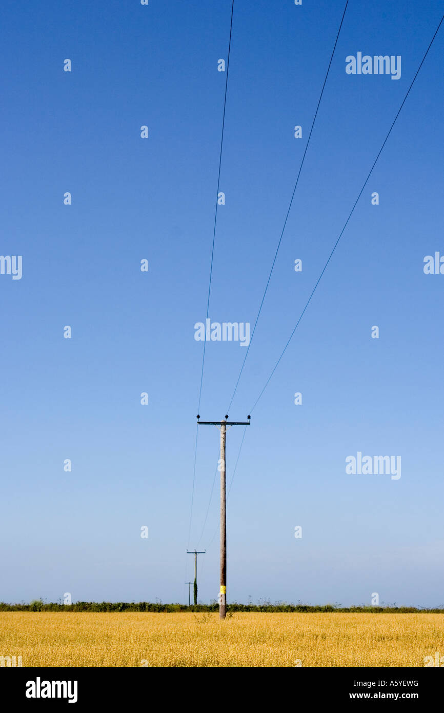 Telegraph poles -Fotos und -Bildmaterial in hoher Auflösung – Alamy