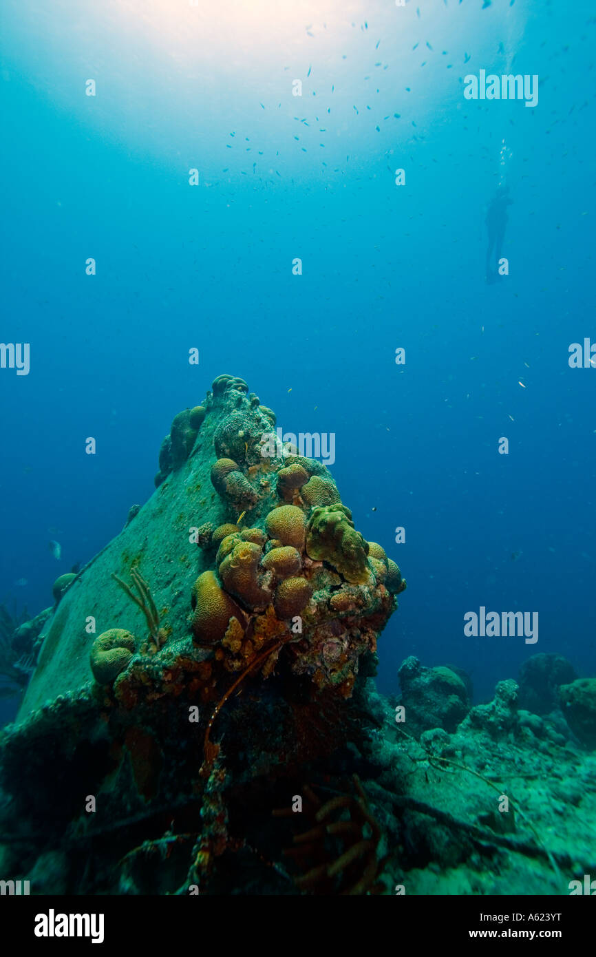 Wrack fisch -Fotos und -Bildmaterial in hoher Auflösung – Alamy