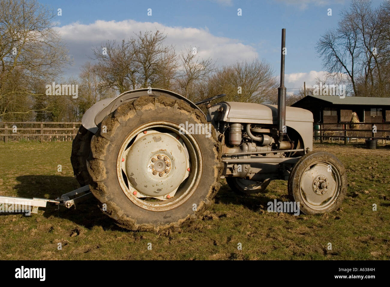 Grey massey ferguson tractors -Fotos und -Bildmaterial in hoher ...