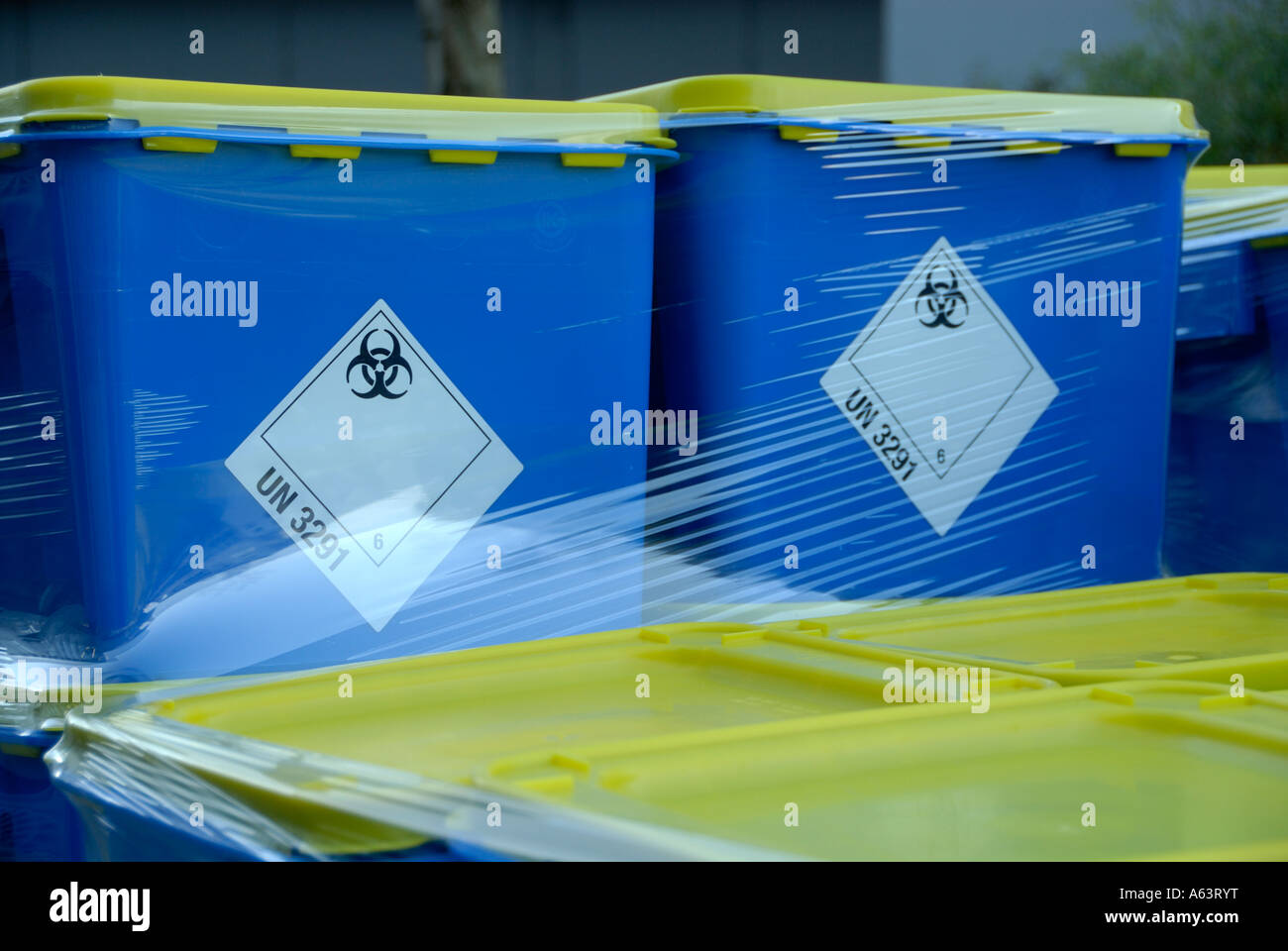 Biohazard Zeichen auf blauen Container Stockfotografie - Alamy