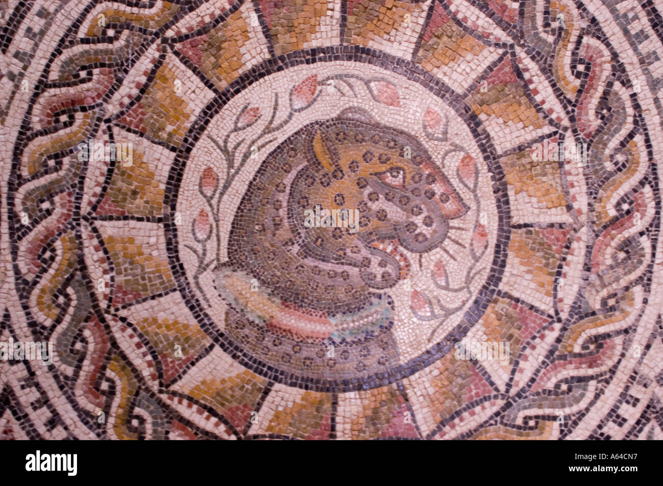 Mosaic leopard -Fotos und -Bildmaterial in hoher Auflösung – Alamy