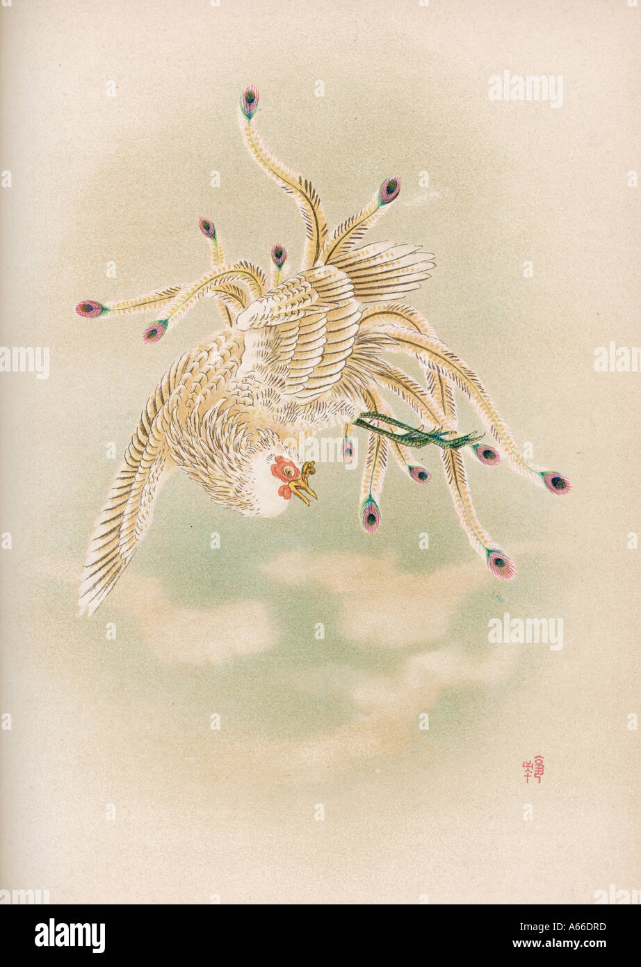 The japanese equivalent the phoenix -Fotos und -Bildmaterial in hoher ...