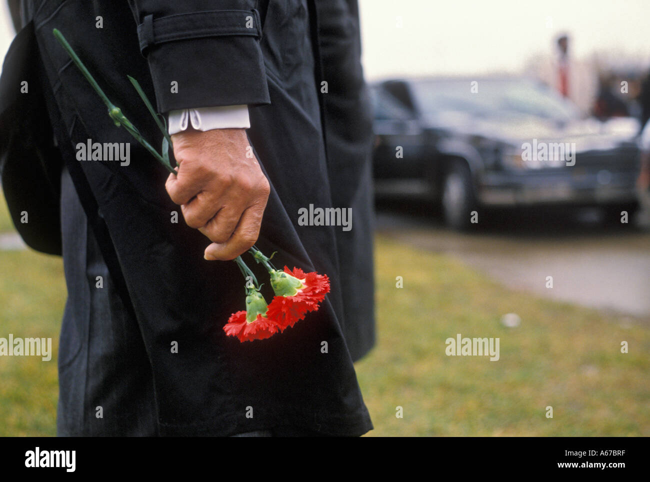 Beerdigung blume -Fotos und -Bildmaterial in hoher Auflösung – Alamy