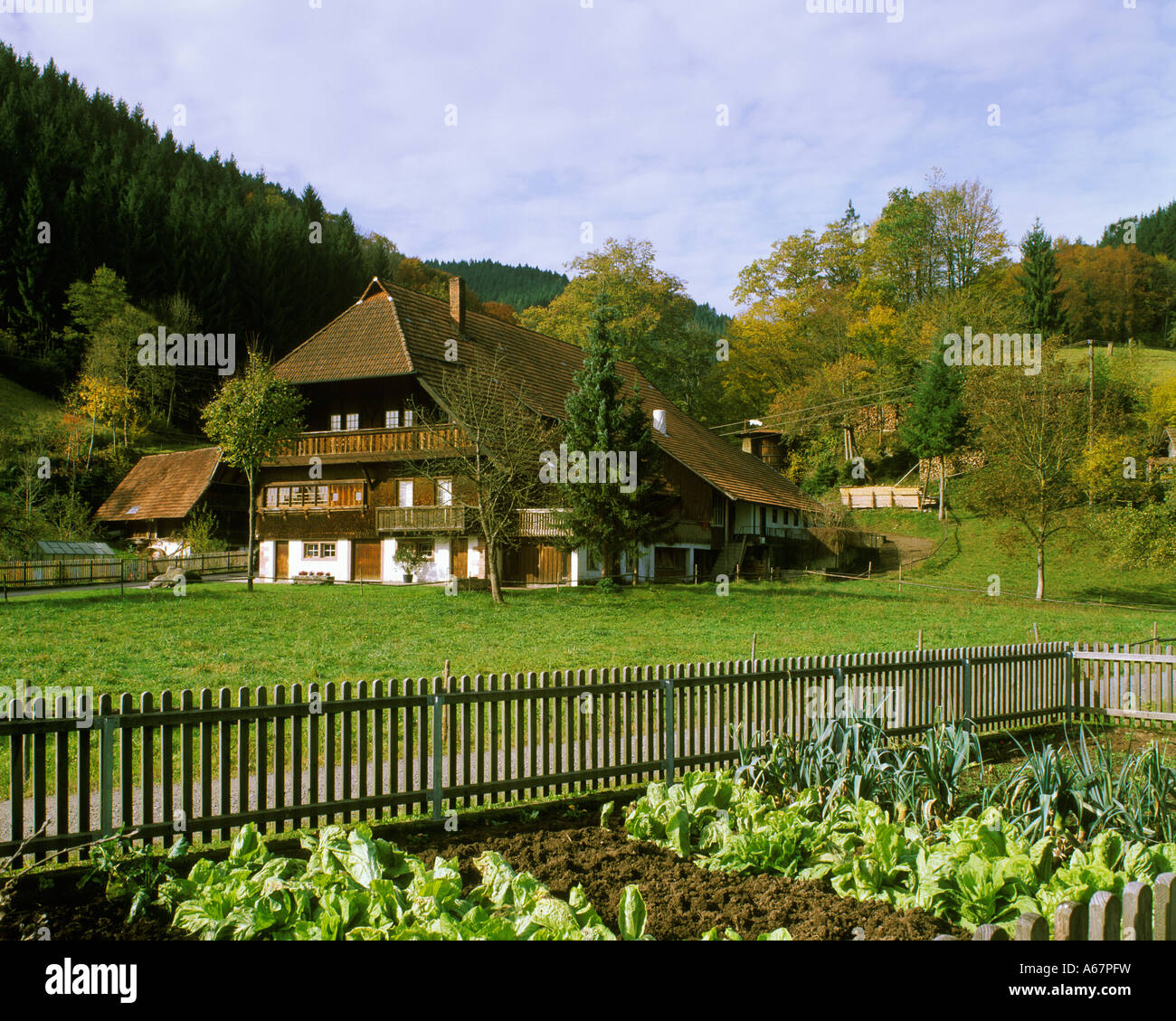 Wolfach forest -Fotos und -Bildmaterial in hoher Auflösung – Alamy
