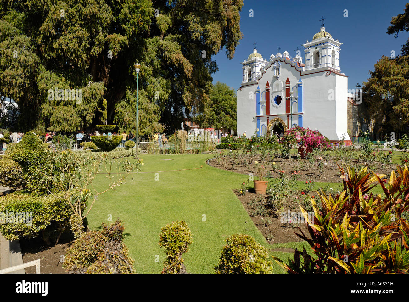 Kirche am Arbol de Tule, Baum von Tule, Santa Maria del Tule, Oaxaca ...
