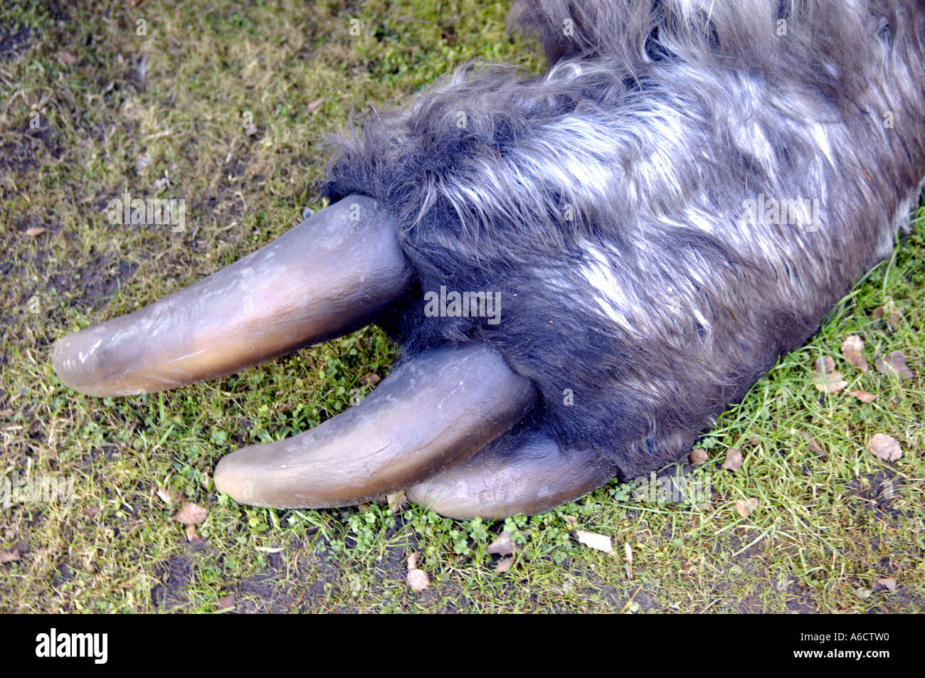 prähistorische Tier Kralle Fuß Megatherium Riesenfaultier ausgestorben ...