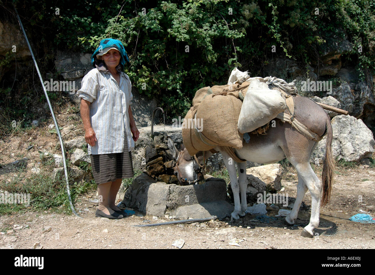 Balkan esel -Fotos und -Bildmaterial in hoher Auflösung – Alamy