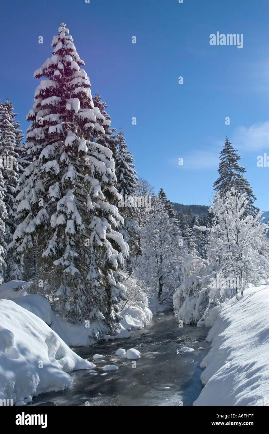 Roter valepp -Fotos und -Bildmaterial in hoher Auflösung – Alamy