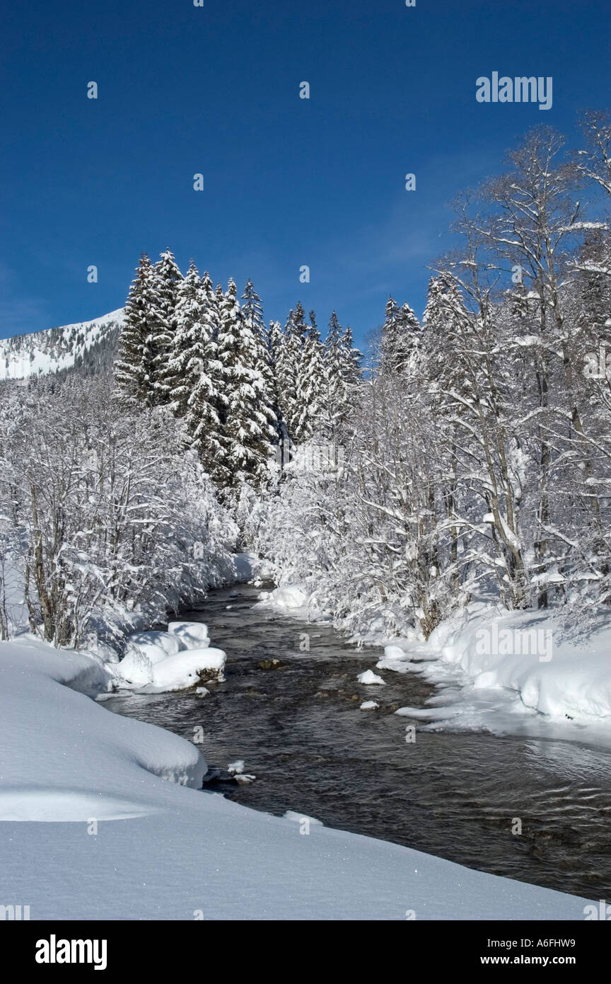 Roter valepp -Fotos und -Bildmaterial in hoher Auflösung – Alamy