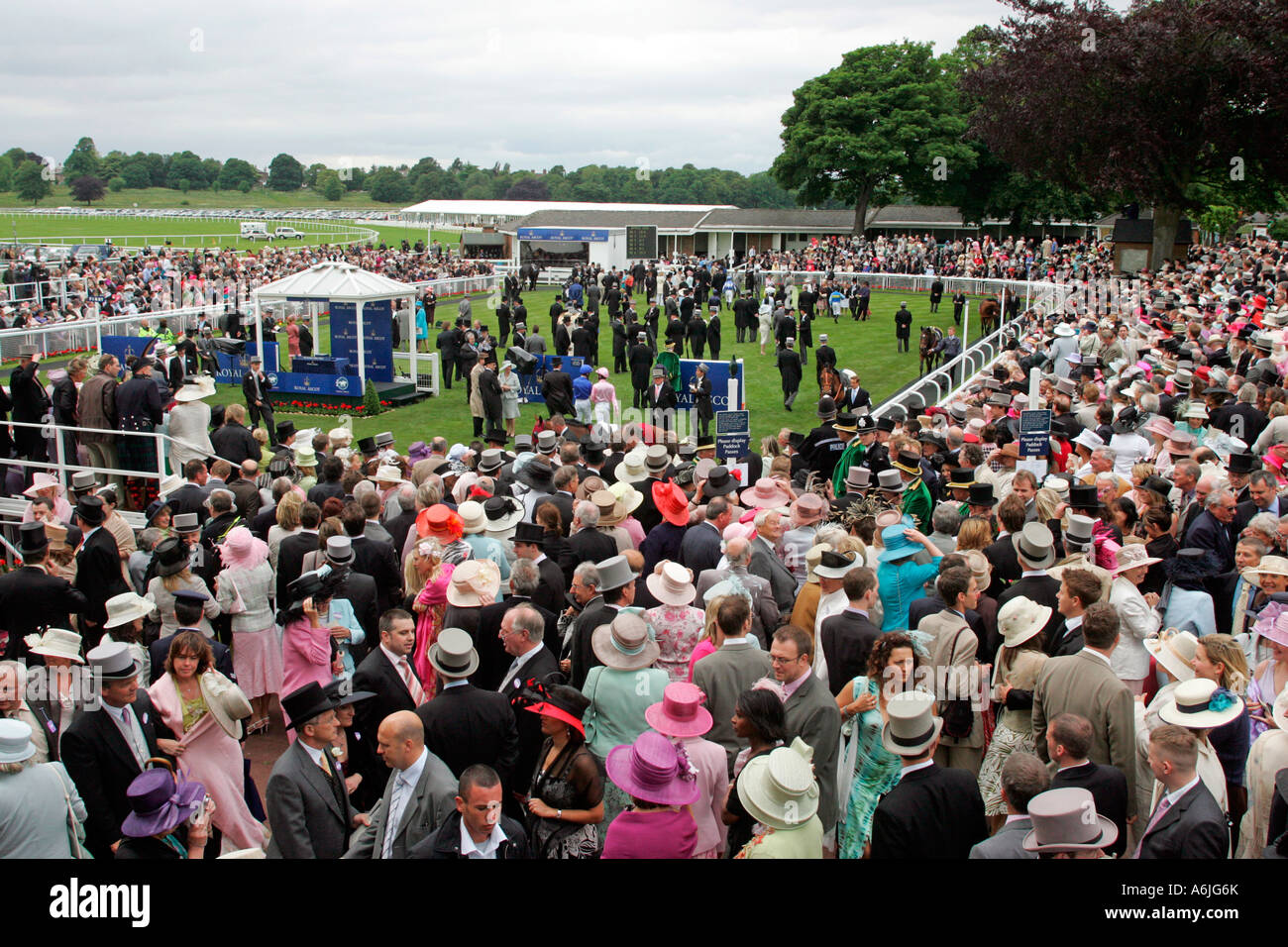 York horse racing -Fotos und -Bildmaterial in hoher Auflösung – Alamy