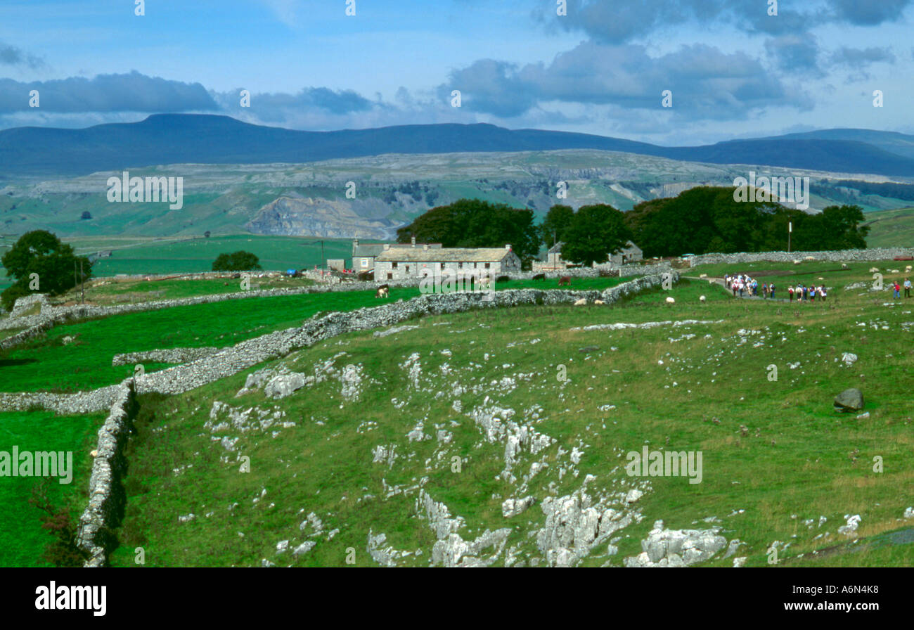 Obere Winskill Farm und Kalkstein Landschaft, Ribblesdale, Yorkshire ...