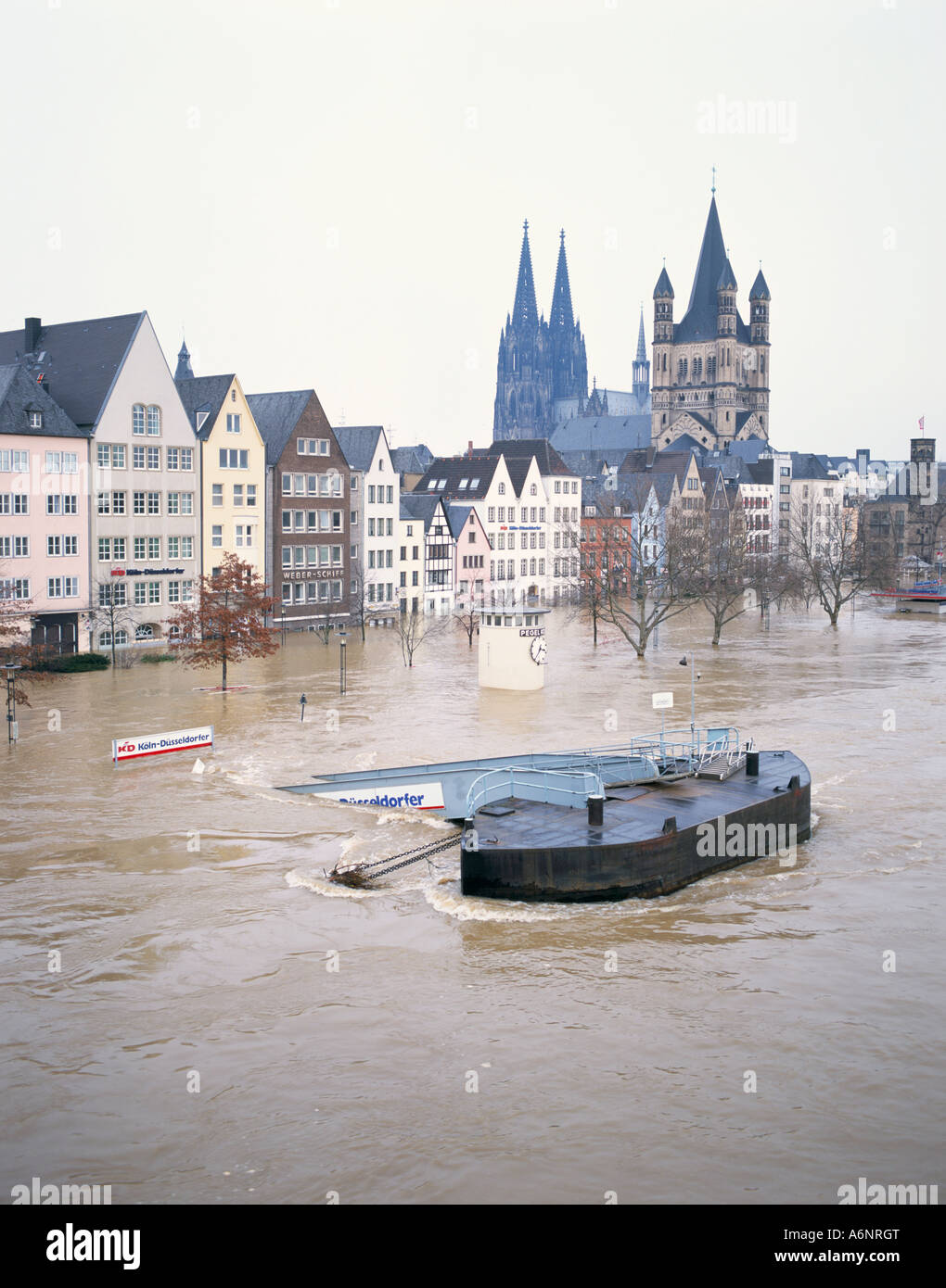 Hochwasser Rhein Koln