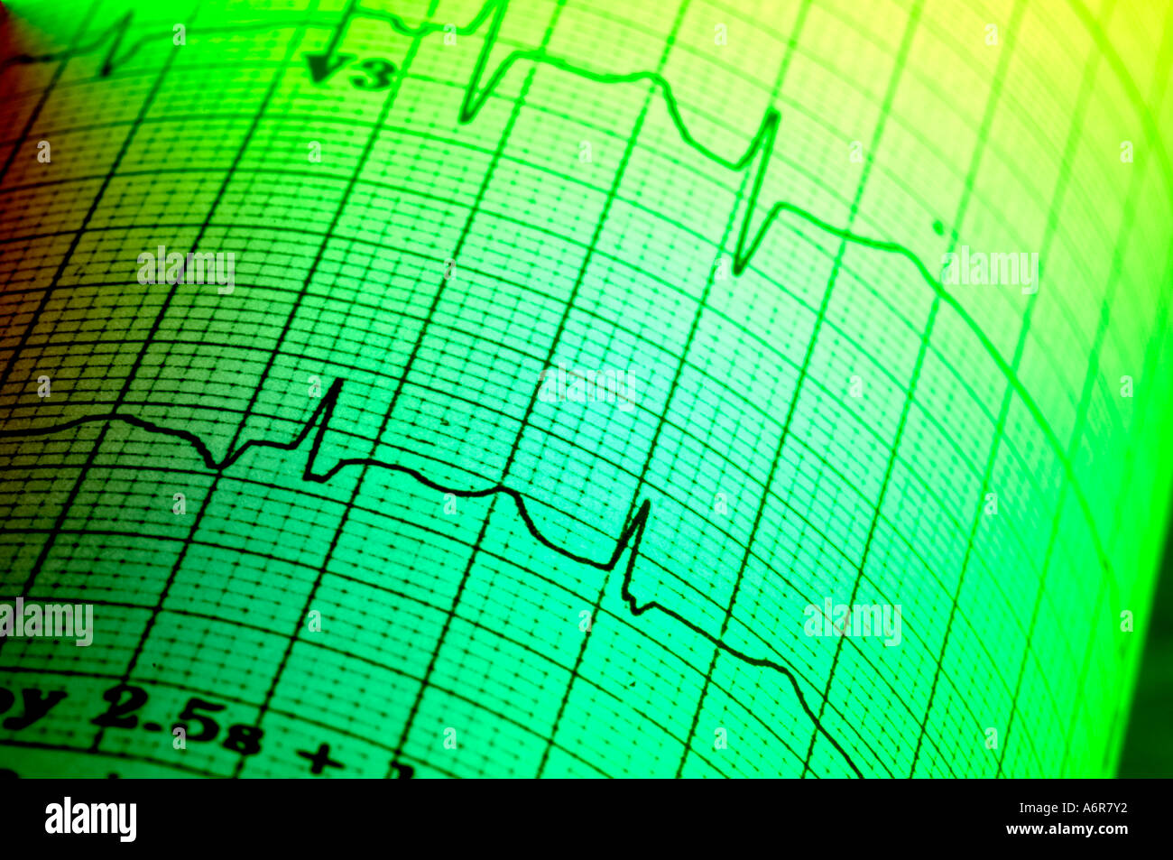 Elektro biologisch -Fotos und -Bildmaterial in hoher Auflösung – Alamy