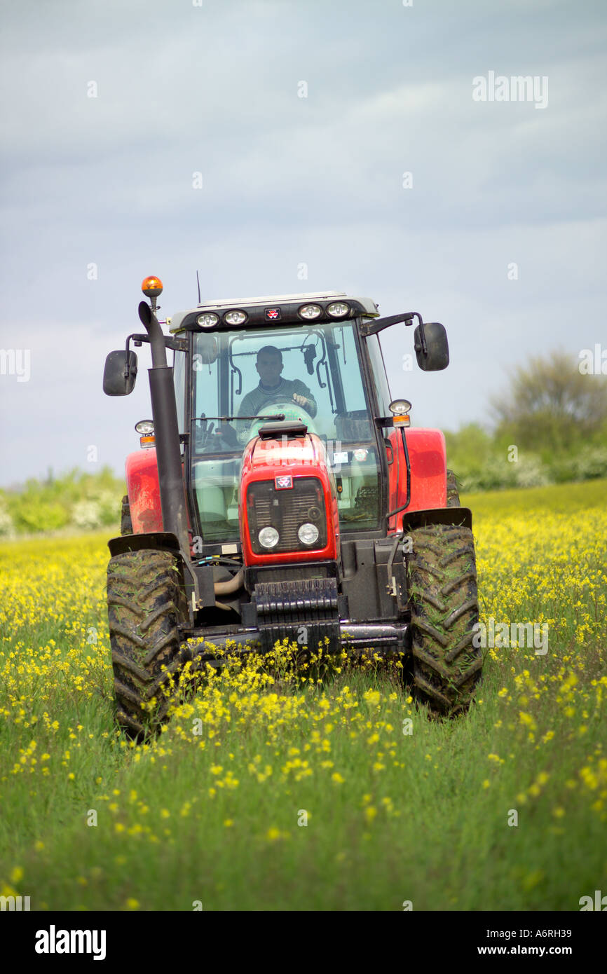 Roter Traktor auf einem Bio-Bauernhof in Essex Stockfotografie - Alamy