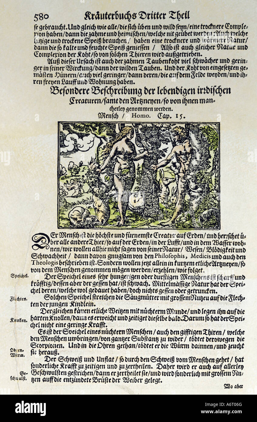 Adam lonicerus -Fotos und -Bildmaterial in hoher Auflösung – Alamy