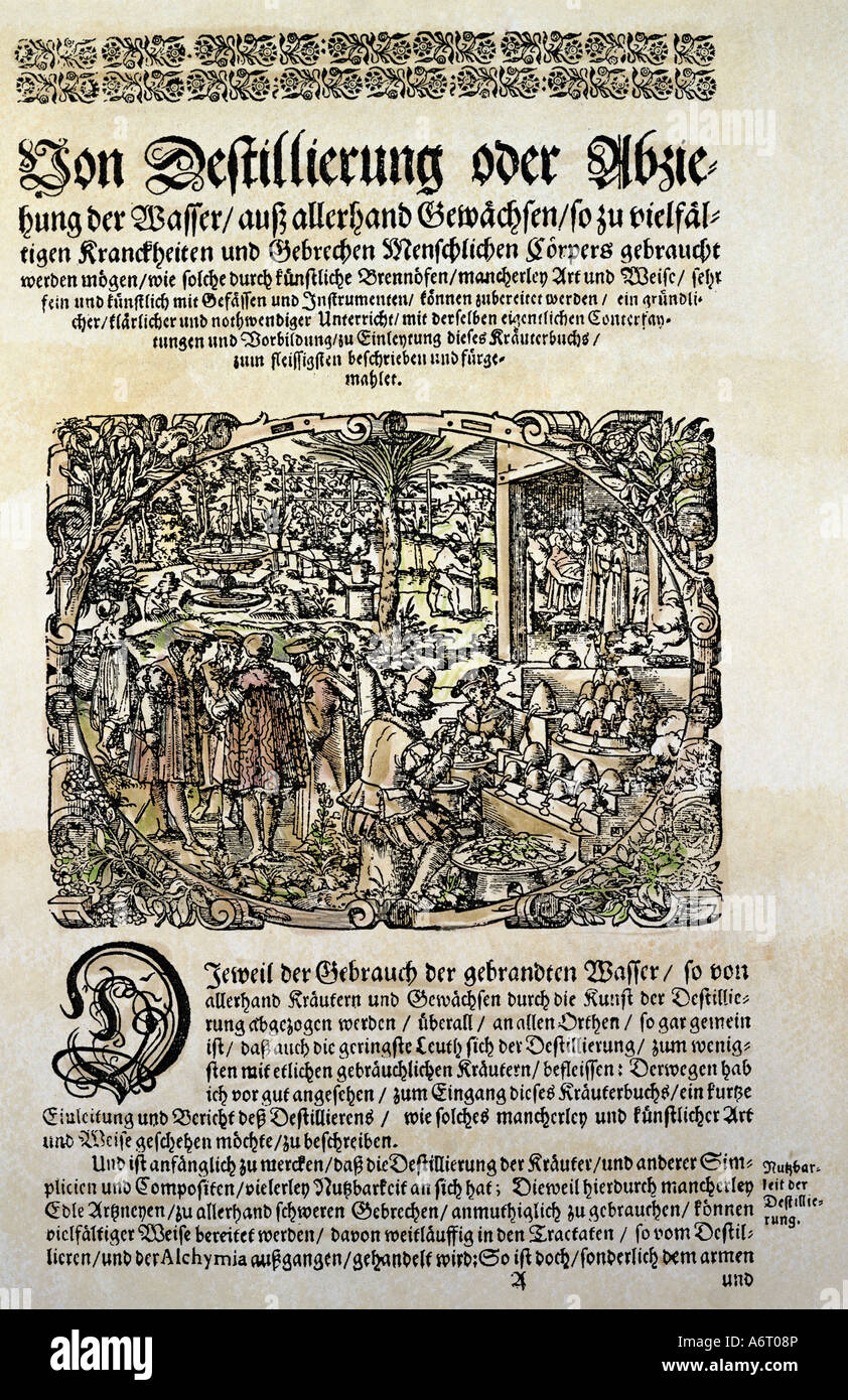 Adam lonicerus -Fotos und -Bildmaterial in hoher Auflösung – Alamy