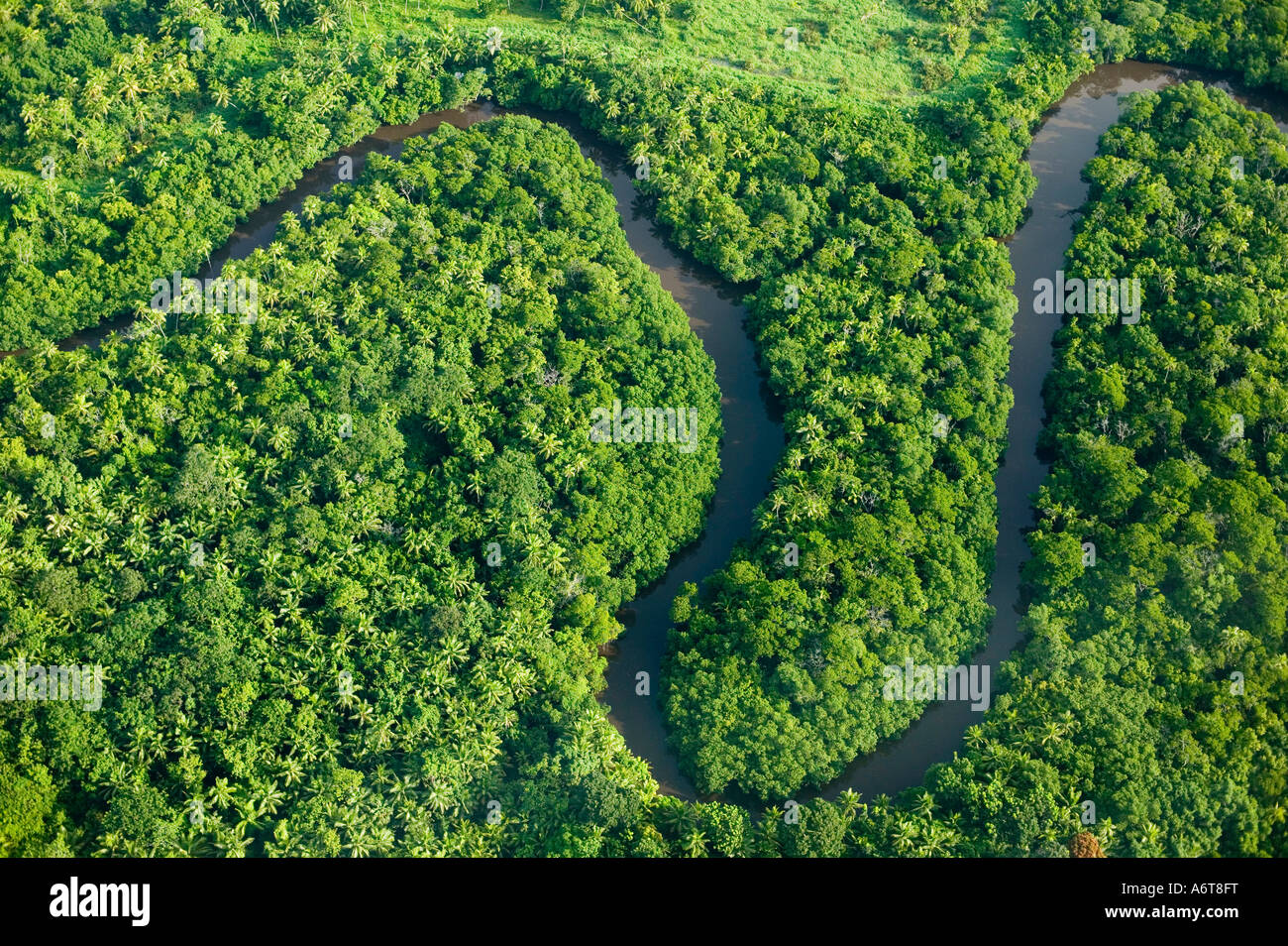 ein Fluss Mäander durch tropischen Regenwald auf Fidschi ...