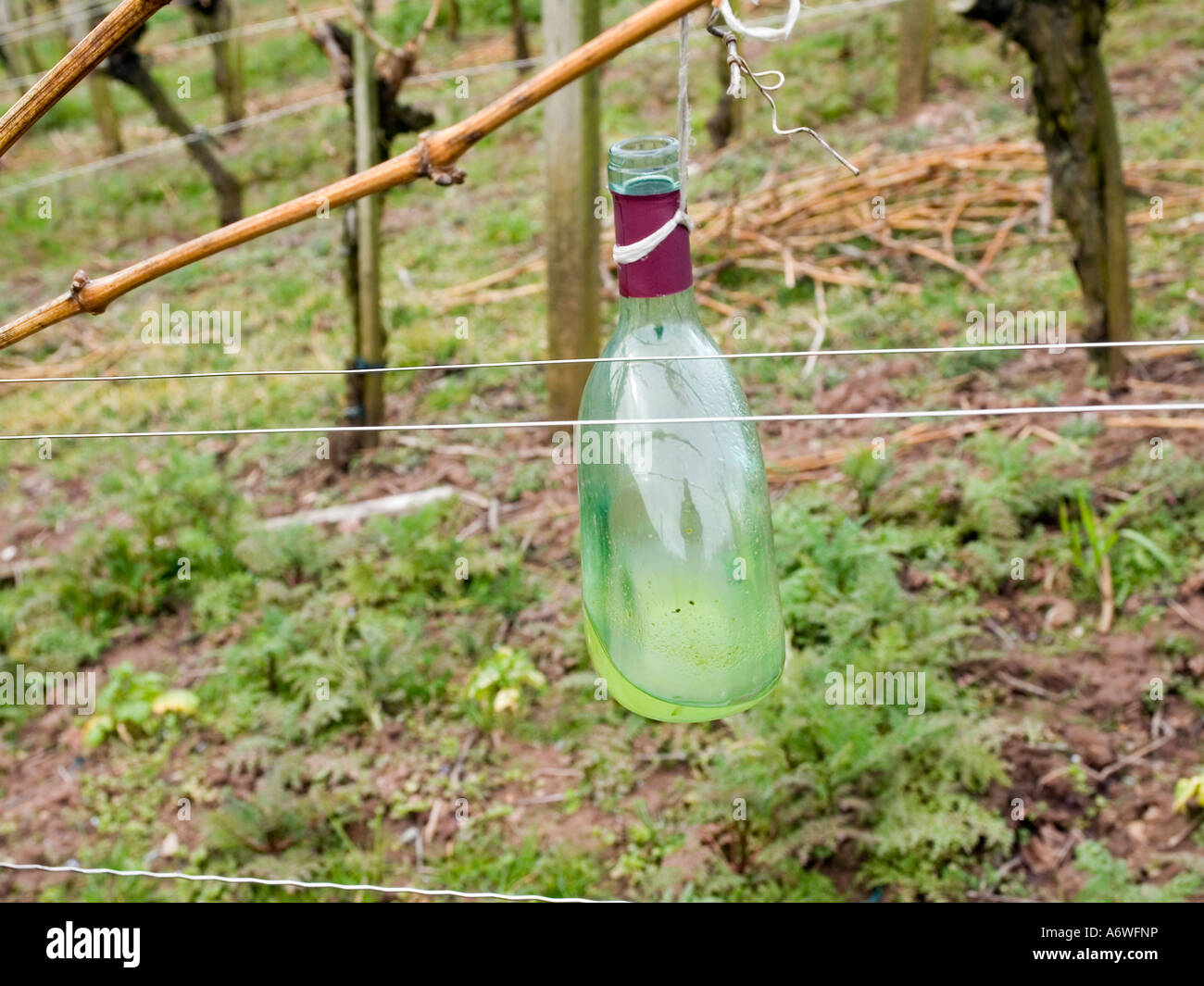 Biologische Schadlingsbekampfung Obstbaume