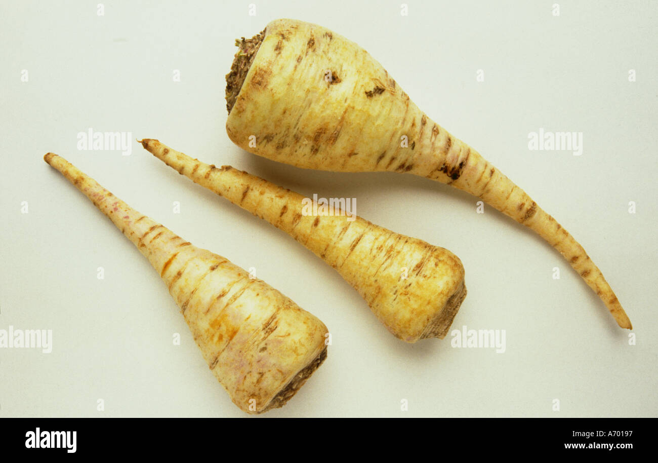 Essen Gemüse Gewürz Petersilie Wurzel Wurzeln Stockfotografie - Alamy